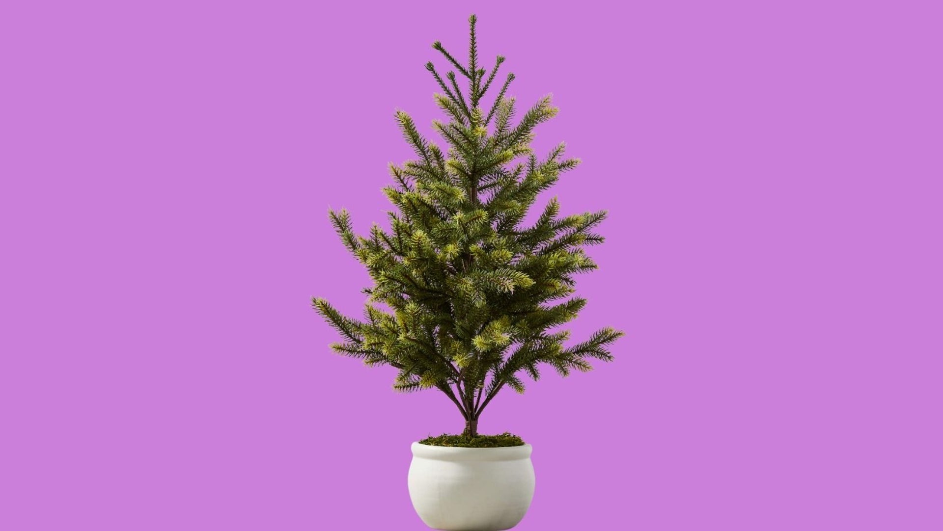 Small, Fun And Colorful Christmas Trees Perfect For Tiny Spaces ...