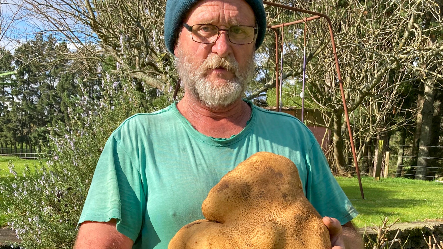 New Zealand Potato Named 'Doug' Just Might Be The World's Biggest ...