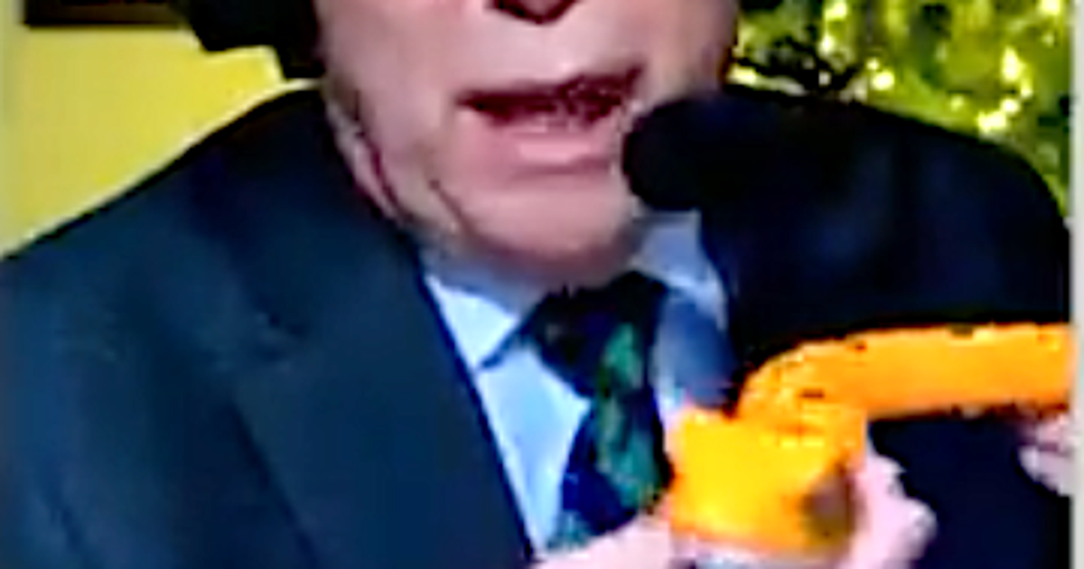 ESPN Announcer Mark Adams Slithers Into Sex Lives Of Snakes During Ohio ...