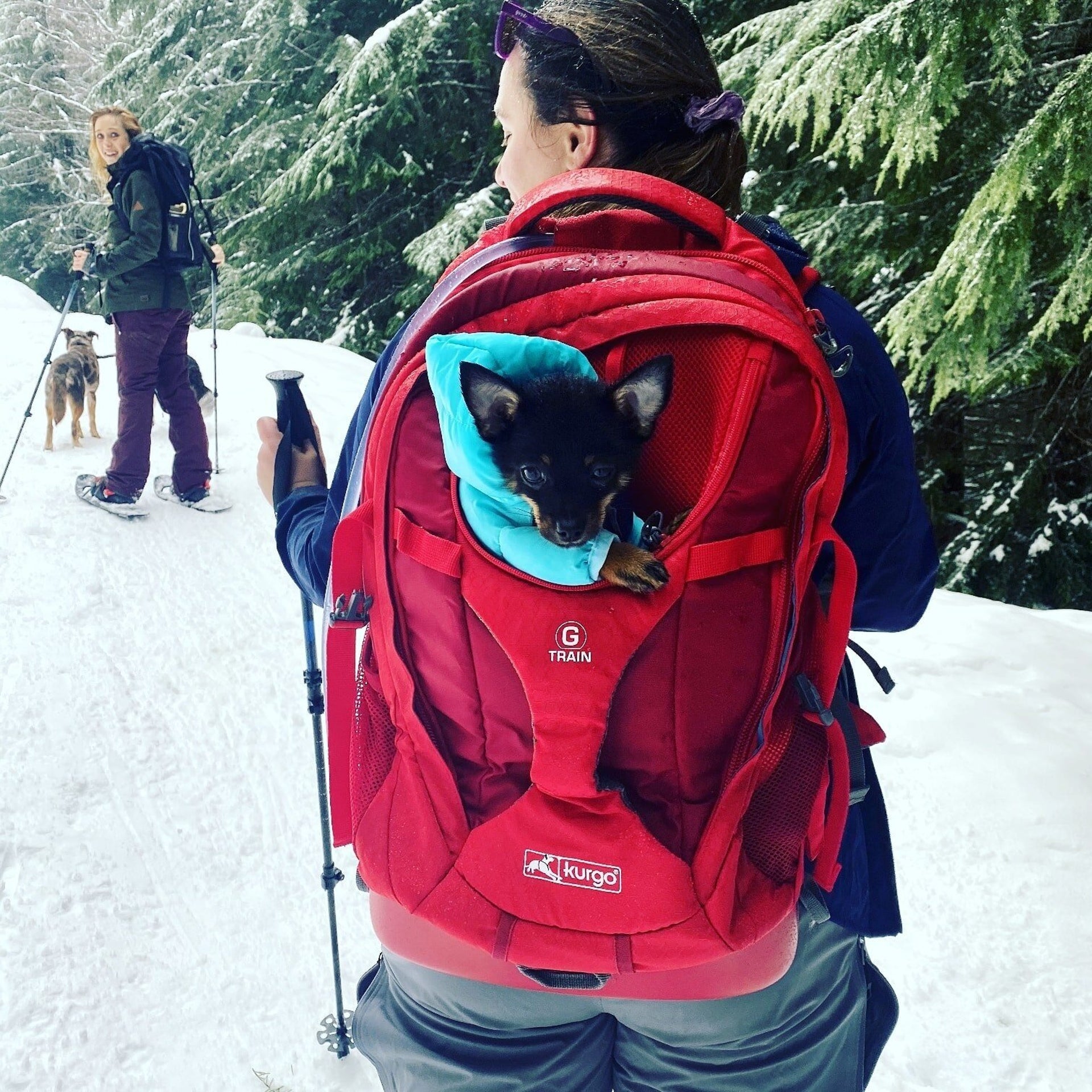 22 Products That’ll Keep Your Pets Warm And Cozy All Winter Long ...