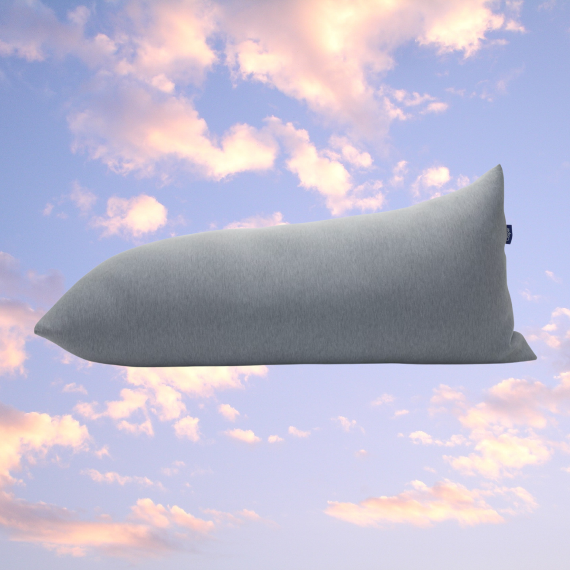 The Best Pregnancy Body Pillows For Getting A Good Night's Sleep ...