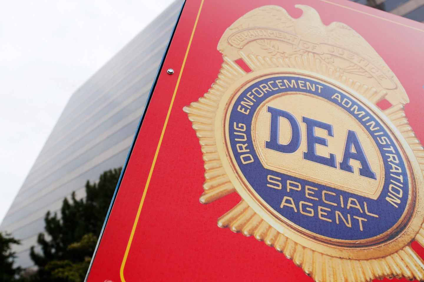 DEA Impostor Tricked Woman Into Believing She Was An Agent-In-Training ...