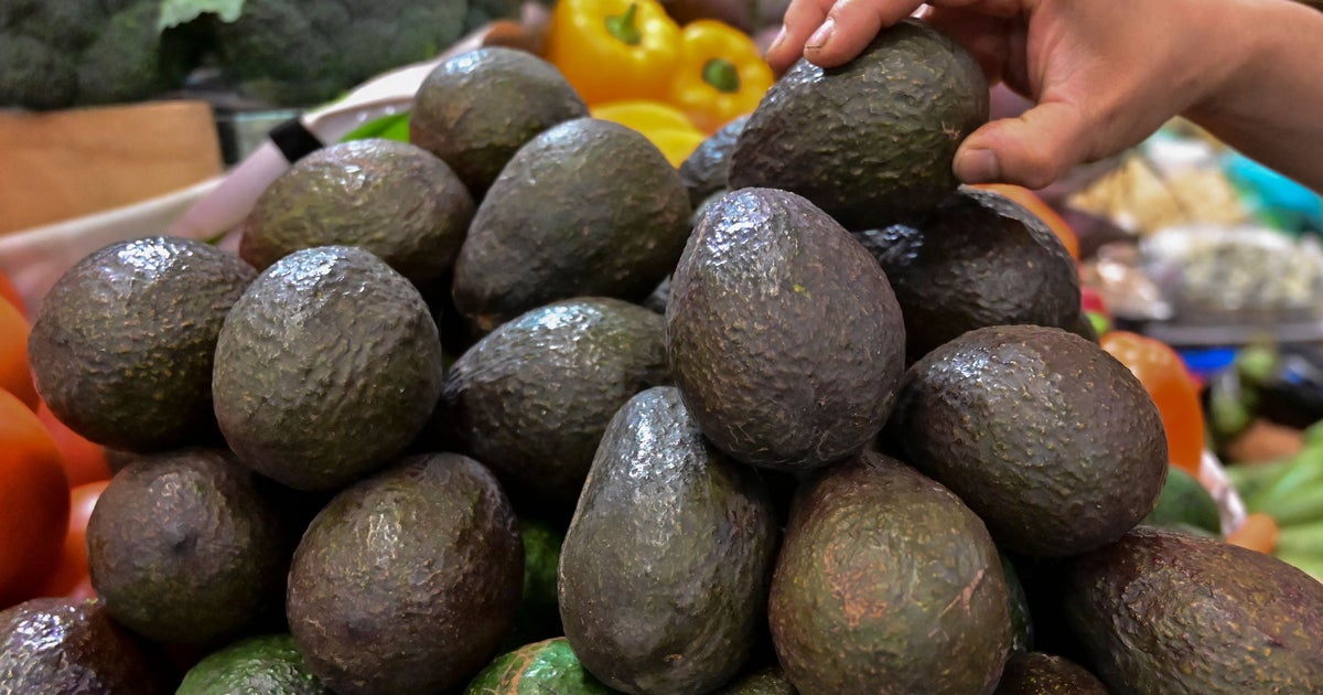 Mexican Avocados' Ties To Drug Cartels And Deforestation Are An Open ...