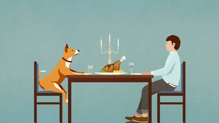 What Is Jidori Chicken? | HuffPost Life