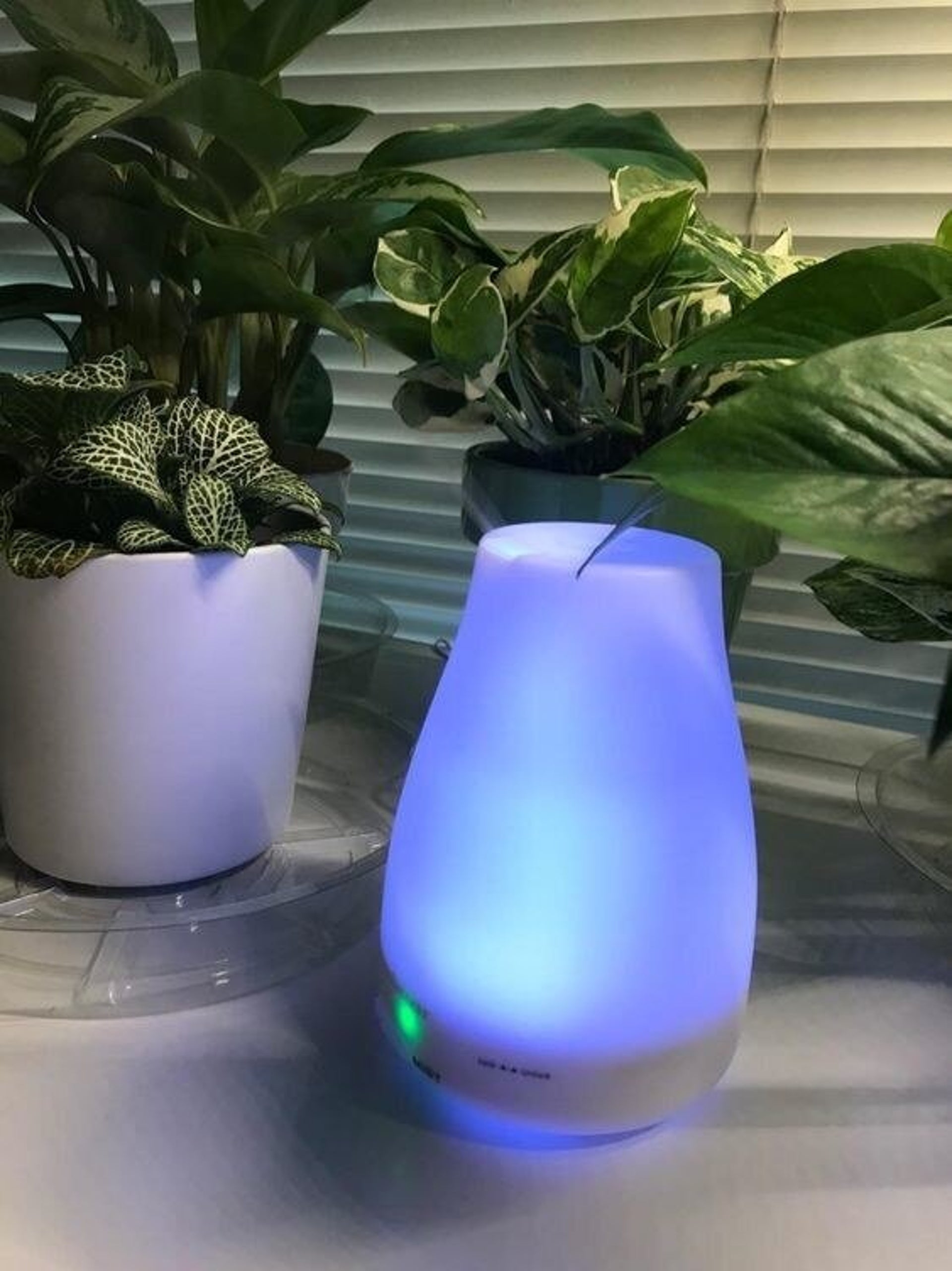27 Products Under $25 That Are Instant Mood Lifters | HuffPost Life