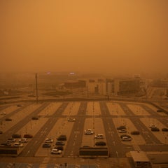 Skunk Cannabis: Top 10 Facts About The Drug | HuffPost UK News