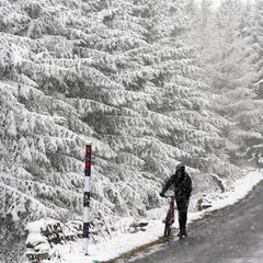 Skunk Cannabis: Top 10 Facts About The Drug | HuffPost UK News