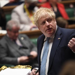 Skunk Cannabis: Top 10 Facts About The Drug | HuffPost UK News