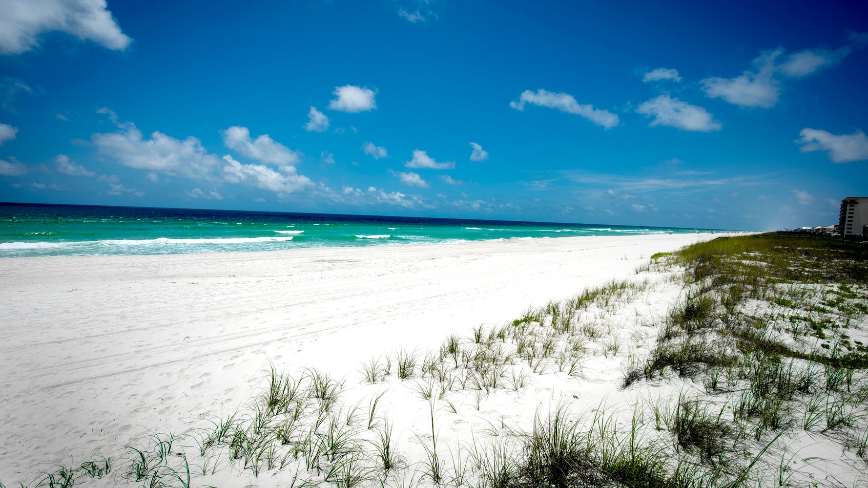 Sunbathing Woman Run Over At The Beach By Florida Deputy S Suv