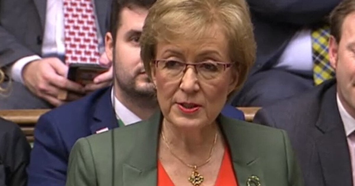 Boris Johnson Responsible For 'Unacceptable Failings', Says Andrea ...