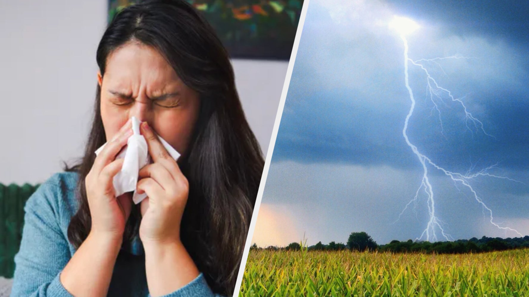 Sorry Hay Fever Sufferers, Thunder Fever Is Coming | HuffPost UK Life