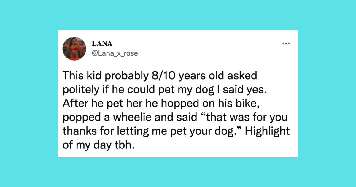25 Of The Funniest Tweets About Cats And Dogs This Week (June 4-10 ...