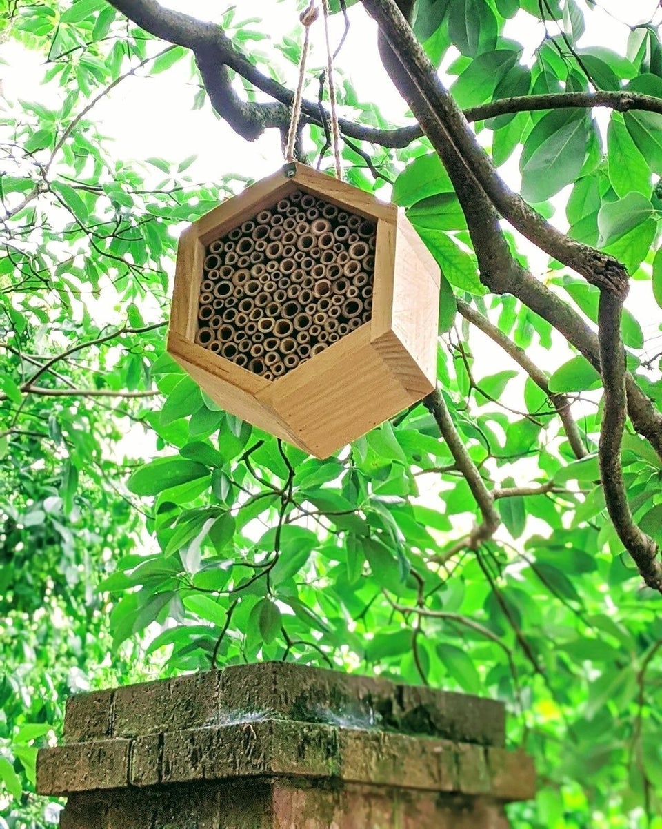 27 Things That'll Make You Wanna Redo Your Entire Backyard | HuffPost Life