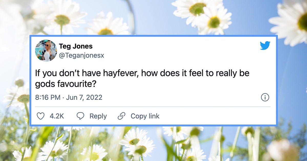 16 Hay Fever Tweets To Make You (And Your Puffy Face) Feel A Bit Less ...