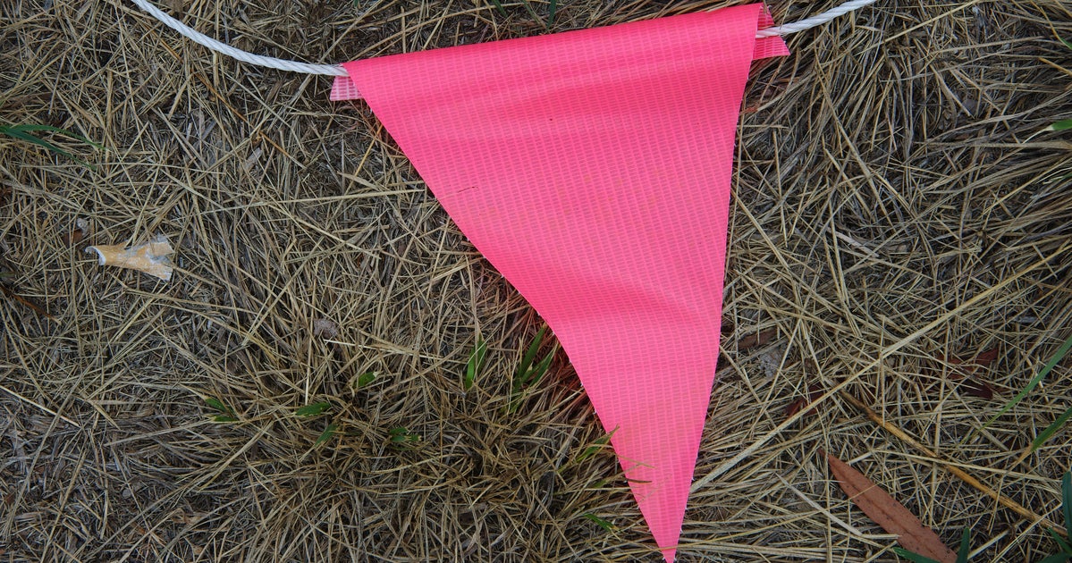 10 'Pink Flags' To Pay Attention To In Relationships | HuffPost Life