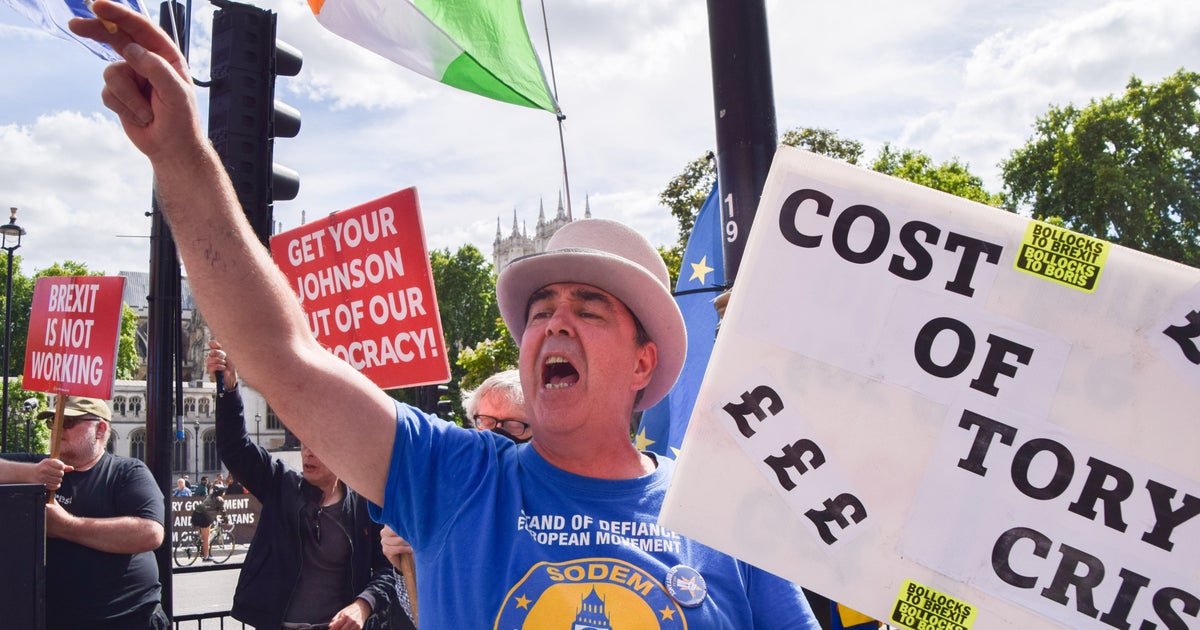 The Stop Brexit Man Could Be Prosecuted For Protesting – Here's Why ...