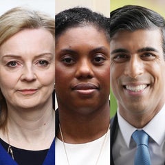 Amazing Photo Of Owl Catching A Cat To Eat (PICTURE) | HuffPost UK News