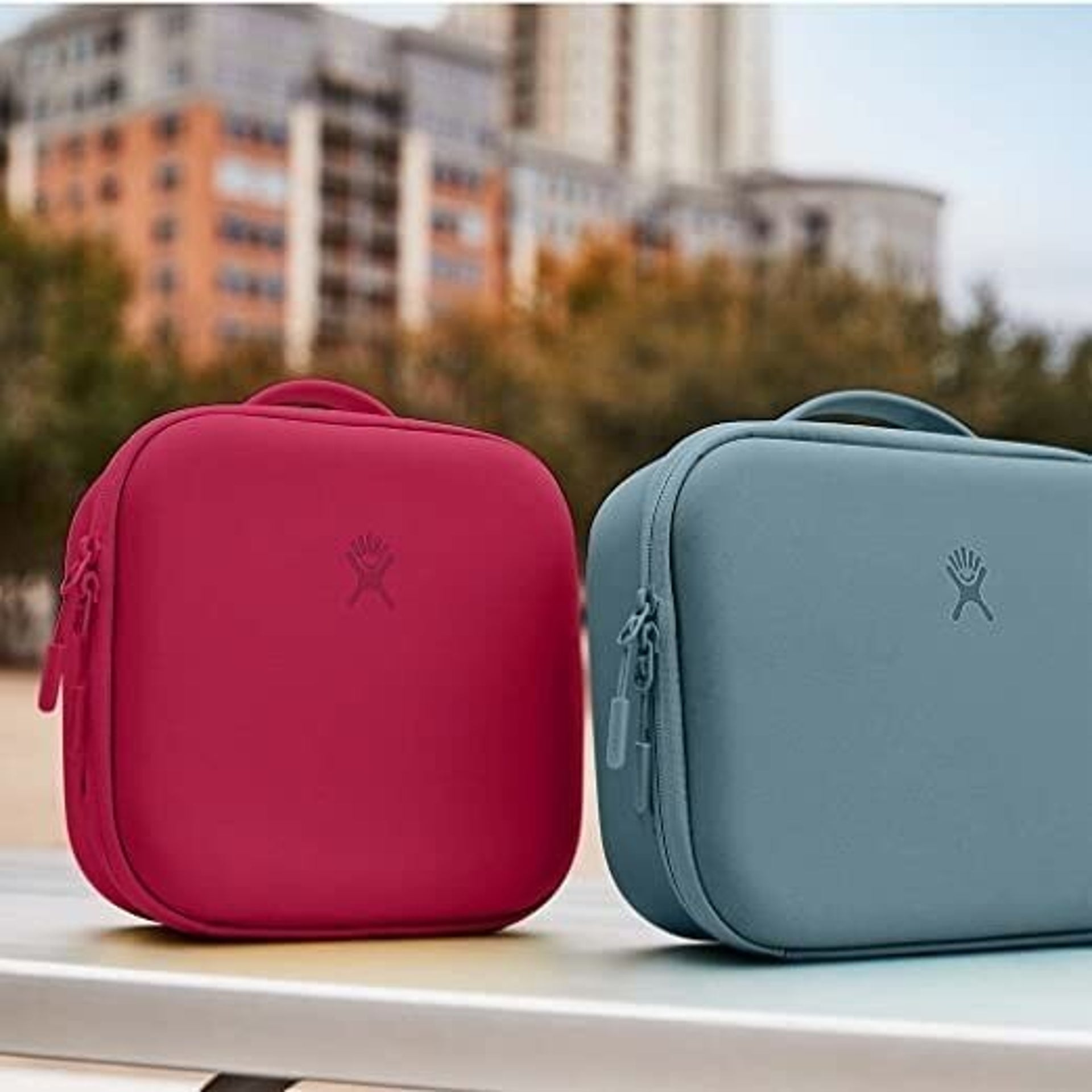 14 Durable Lunch Boxes That'll Last More Than One Year | HuffPost Life