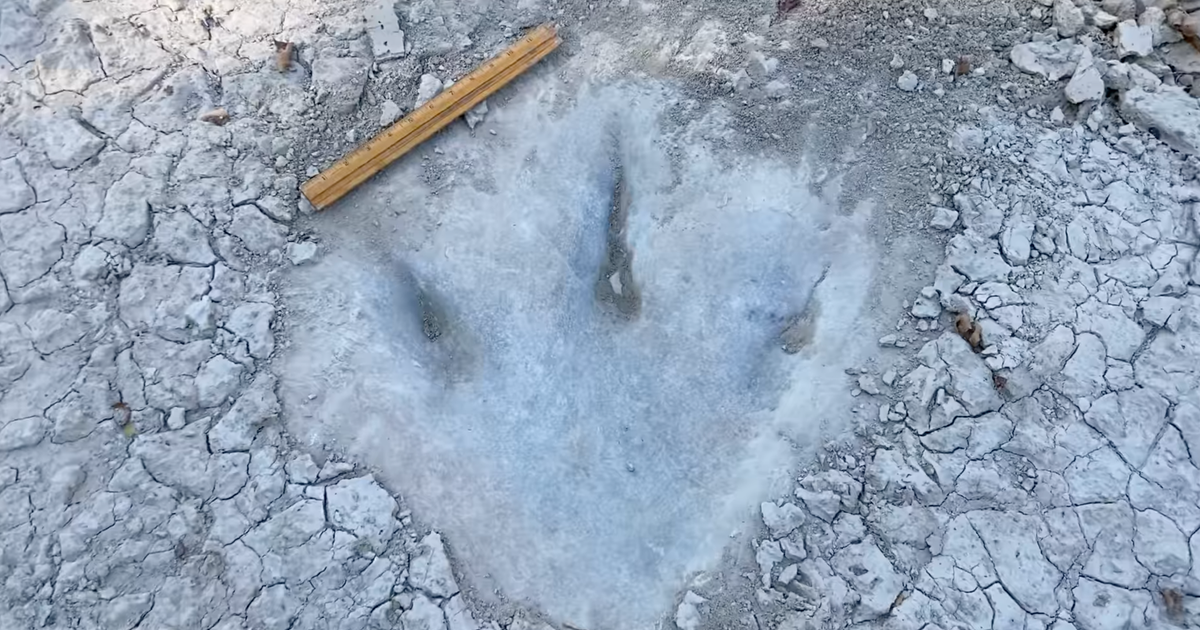 Drought Reveals 'Jurassic Park'-Like Spectacle In Texas Riverbed ...