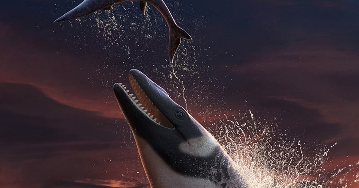 Thalassotitan atrox: Γιγαντιαίο θηρίο διαφέντευε τους ωκεανούς πριν 66 ...