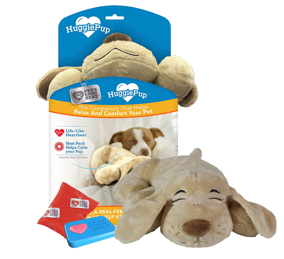 The 20 Best Sale Items You Need From Amazon's 'Top 100' List | HuffPost ...