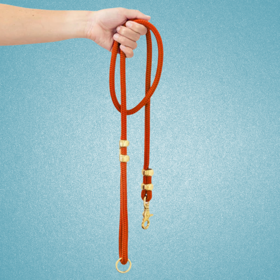 Surprisingly Chic Dog Leashes And Harnesses | HuffPost Life