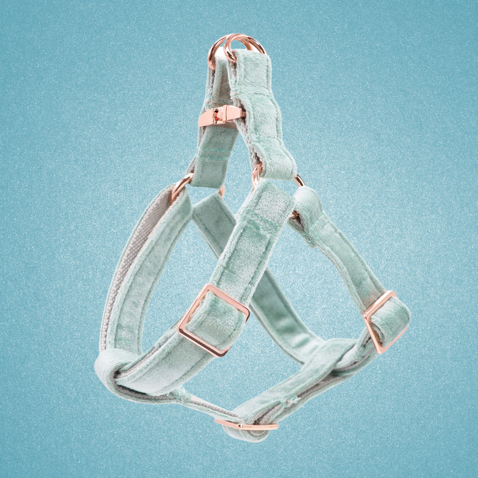 Surprisingly Chic Dog Leashes And Harnesses | HuffPost Life