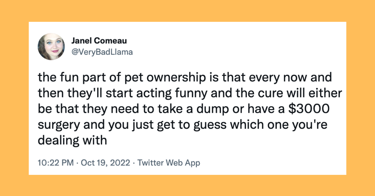 20 Of The Funniest Tweets About Cats And Dogs This Week (Oct. 15-21 ...