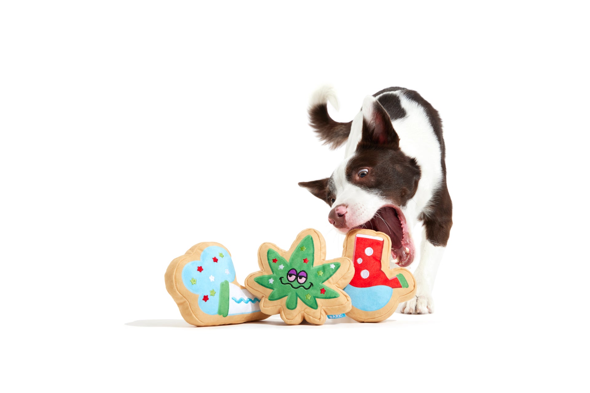 52 Weird Christmas Gifts Guaranteed To Make For A Nutty Noel | HuffPost ...