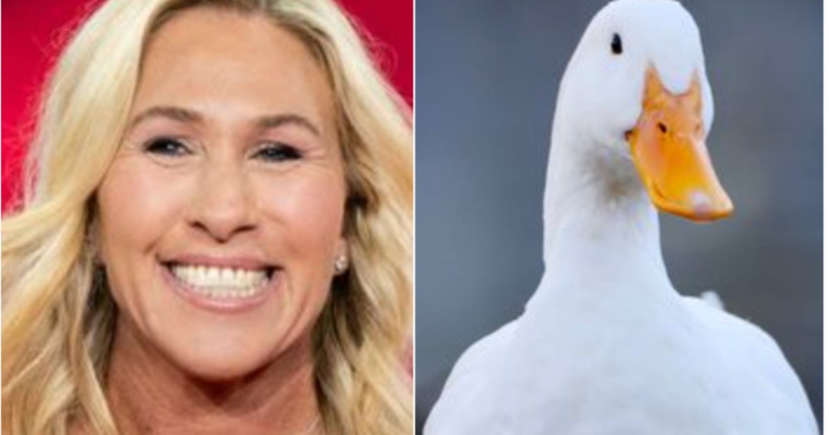 Marjorie Taylor Greene Gets Roasted For Duck Mistake On Twitter ...
