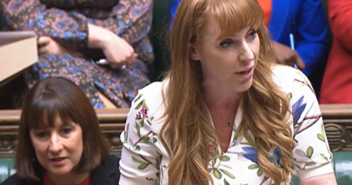 Dominic Raab Told To 'Drain The Swamp' By Angela Rayner | HuffPost UK ...