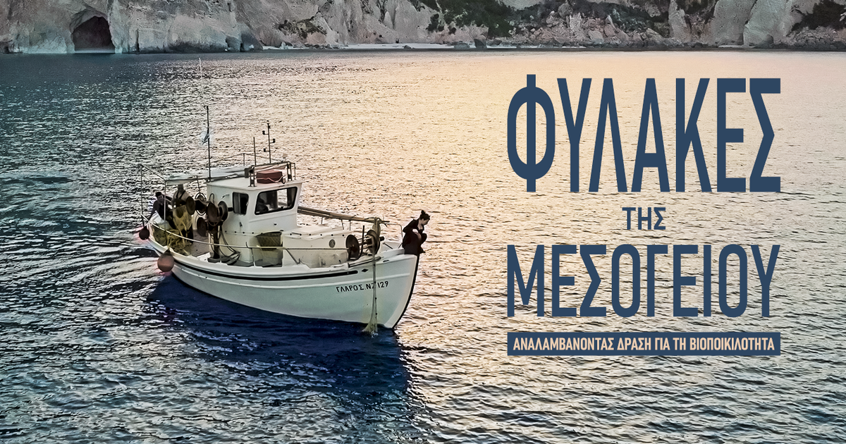 «Φύλακες της Μεσογείου»: Τρεις ιστορίες για την προστασία των θαλασσών ...