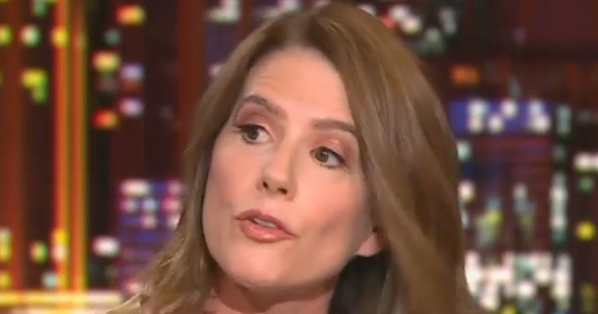 CNN Analyst Claps Back At Firearms Reporter In Testy Exchange ...