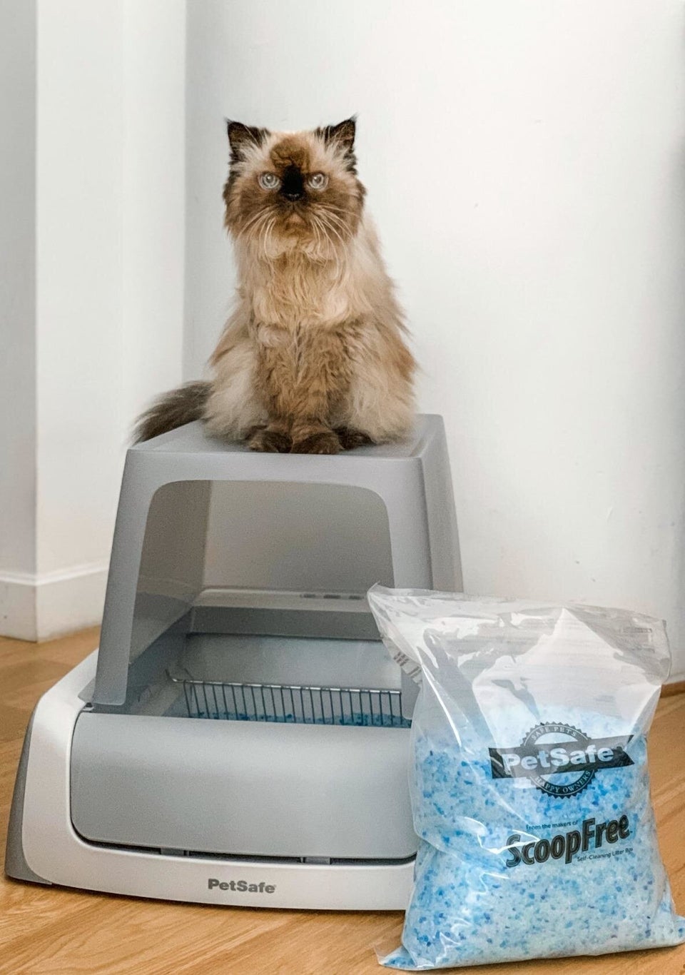 All The Best Black Friday Pets Deals | HuffPost Life