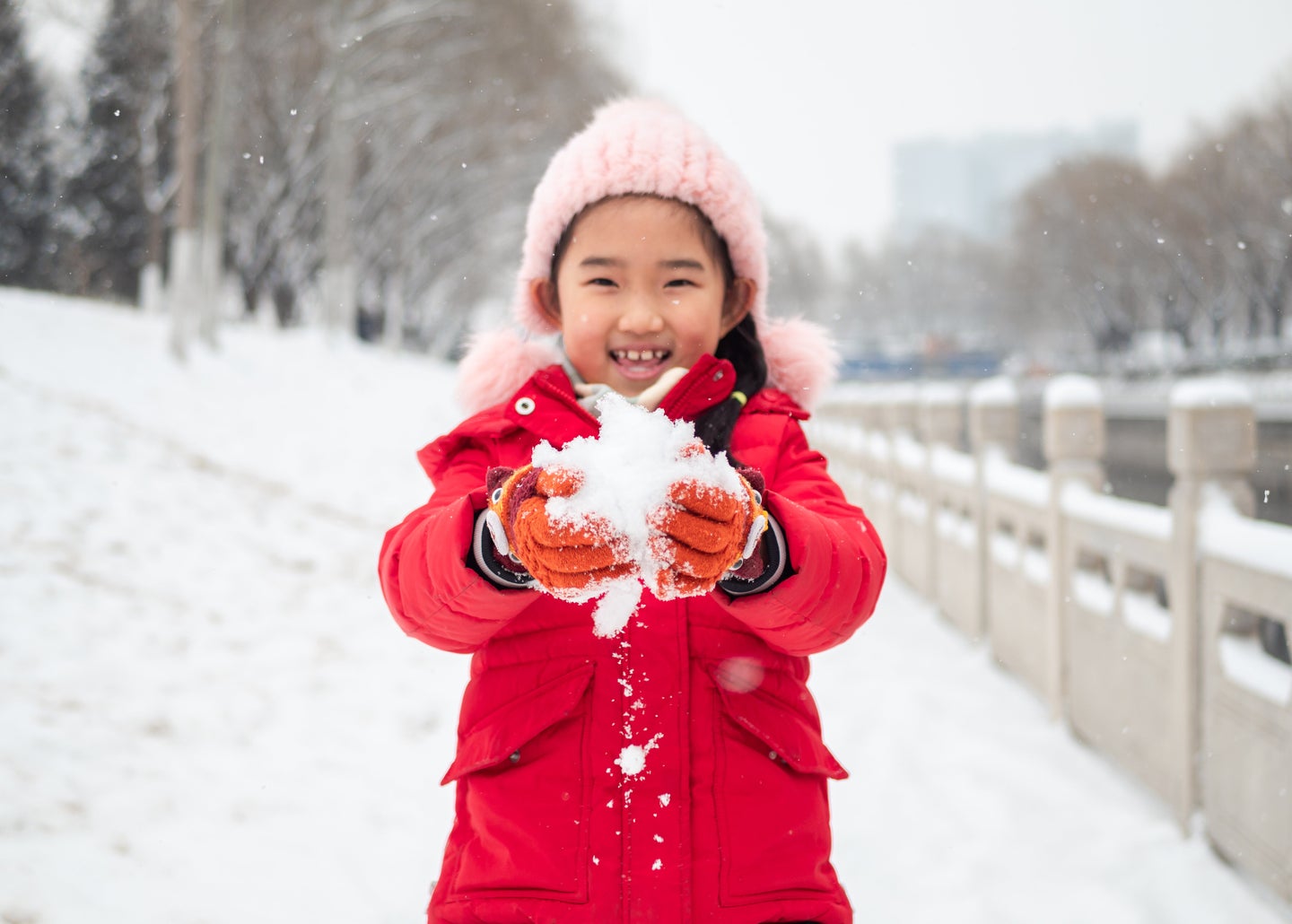 Snow Machines To Turn Your Yard Into A Winter Wonderland | HuffPost Life