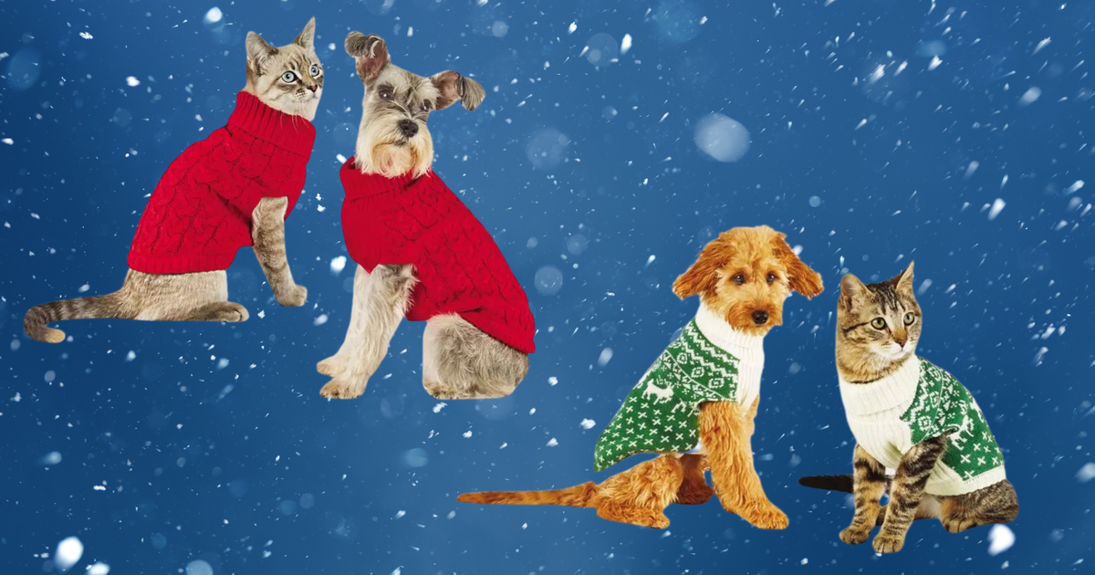 Best Holiday Pet Accessories And Outfits From Target | HuffPost Life