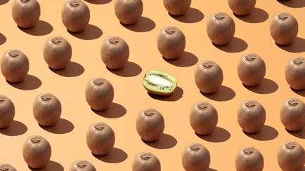 39 Ultimate Funny Exam Answer Fails | HuffPost UK Students