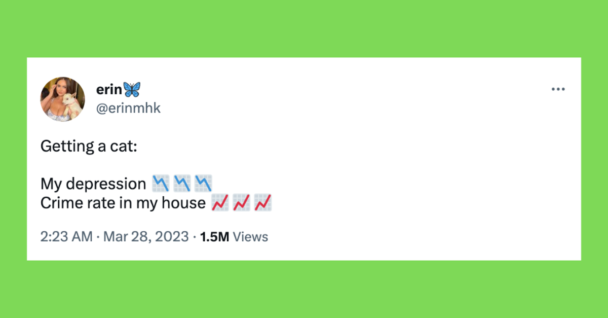 20 Of The Funniest Tweets About Cats And Dogs This Week (March 25-31 ...