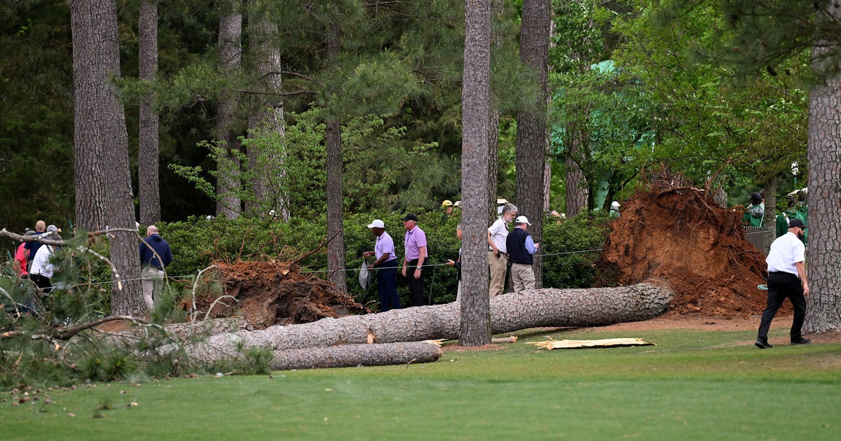 Trees Fall Near Spectators During Masters Tournament No Injuries
