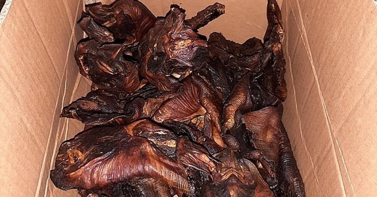 Cooked Bats Seized By German Officials Near Belgian Border | HuffPost ...