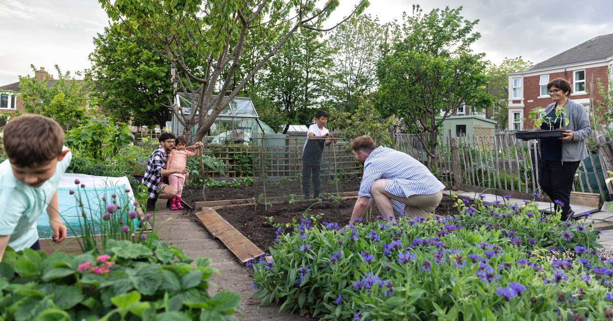 The One Common Gardening Practice You Should Ditch ASAP | HuffPost UK Life