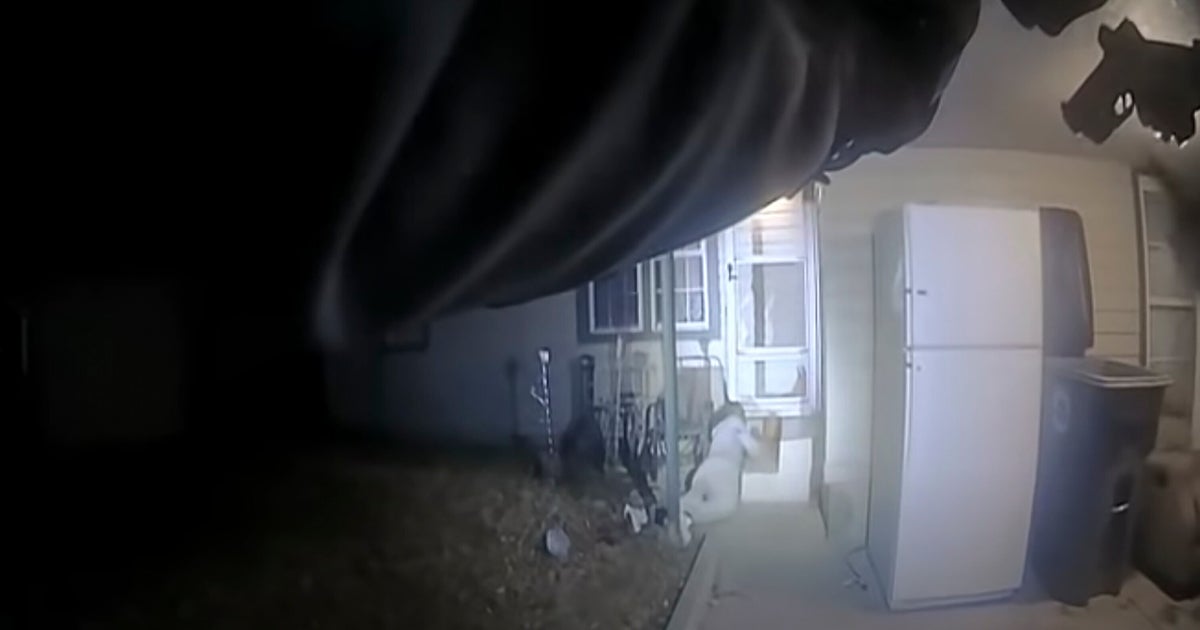 America’s Policing System Goes Beyond A Few Bad Apples – It’s Rotten To ...