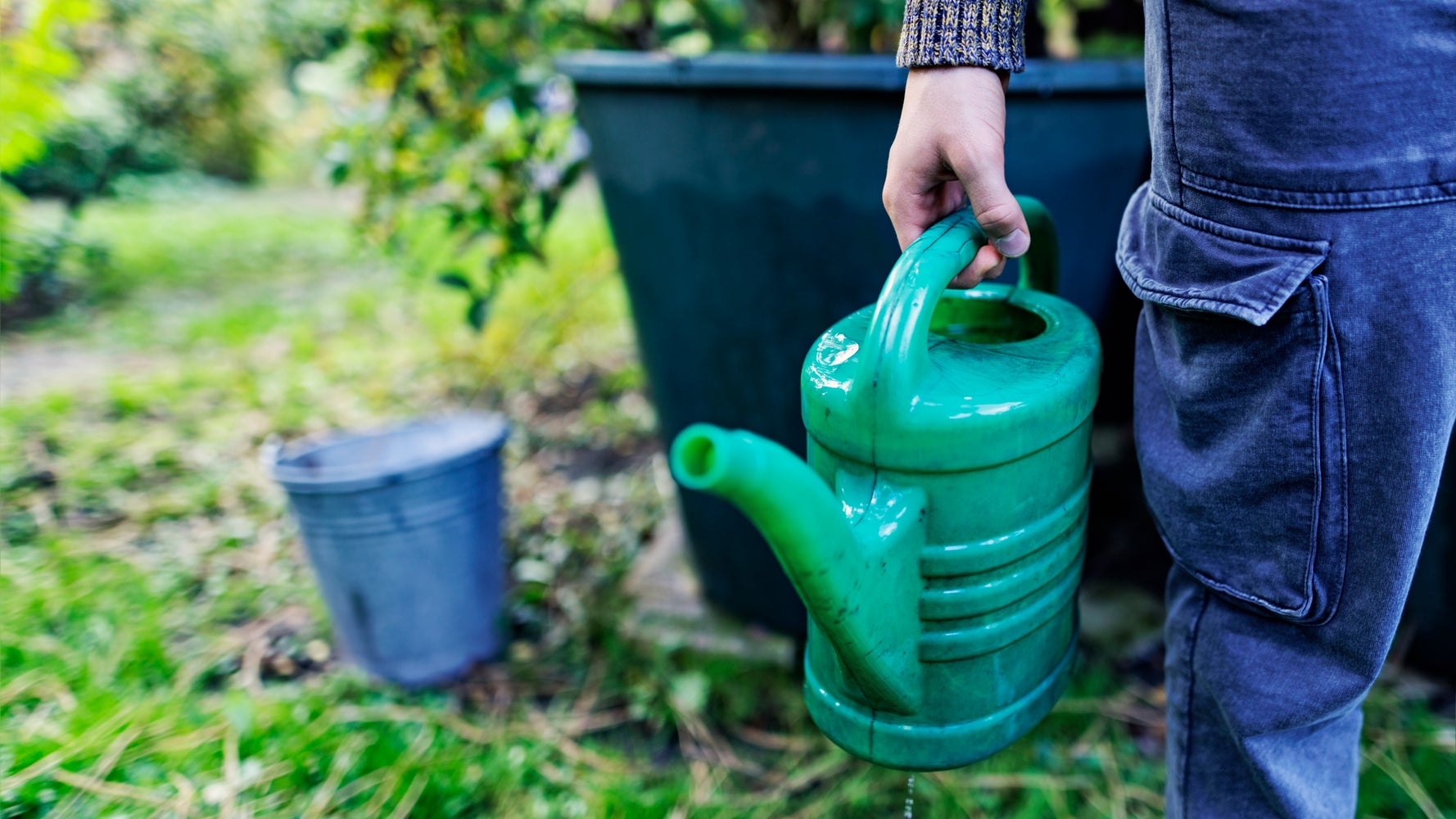 Uses Of Water For Watering Plants