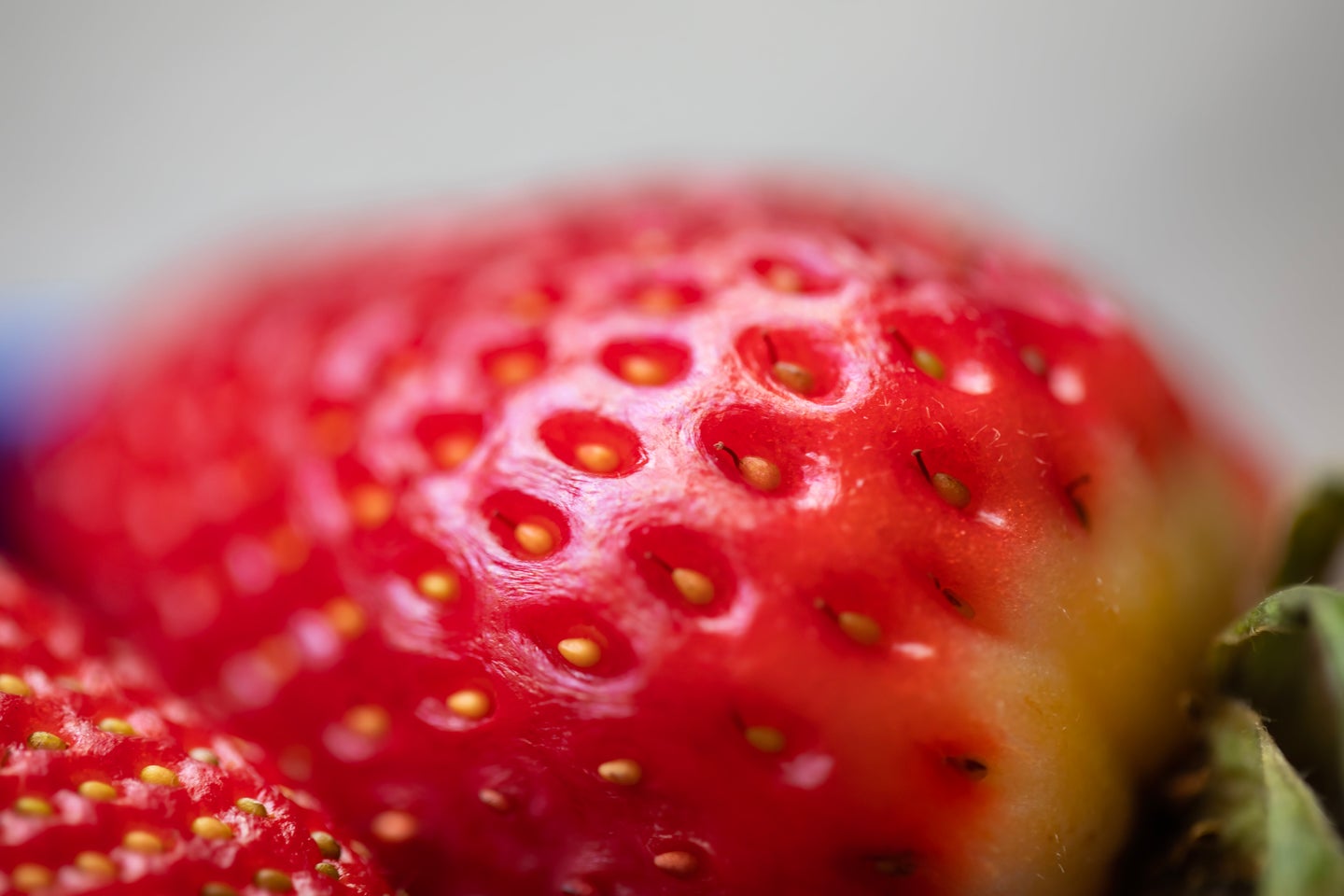 The White Specks On Strawberries Aren't Actually Seeds | HuffPost UK Life