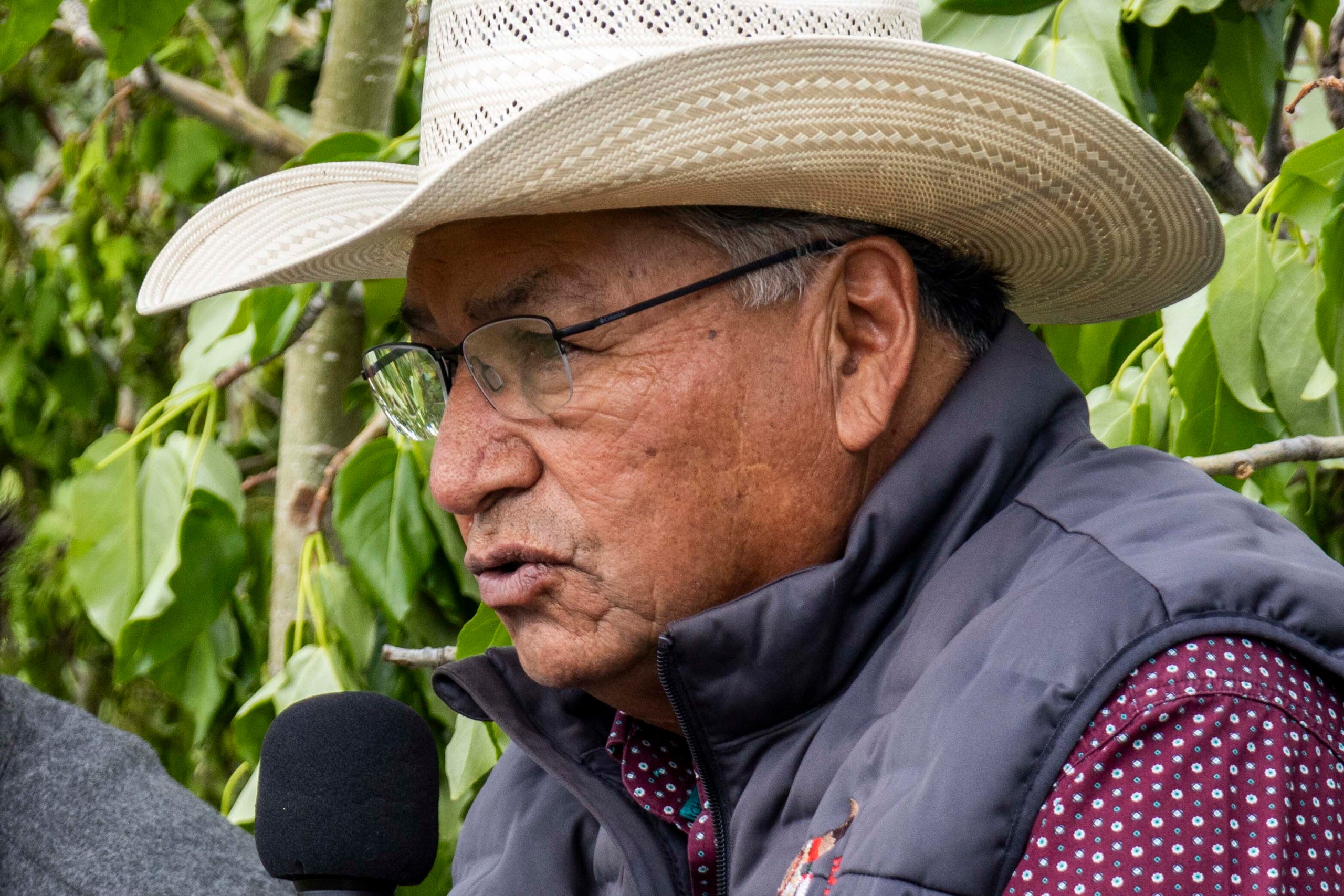 How The Blackfeet Brought Buffalo Back | HuffPost Impact