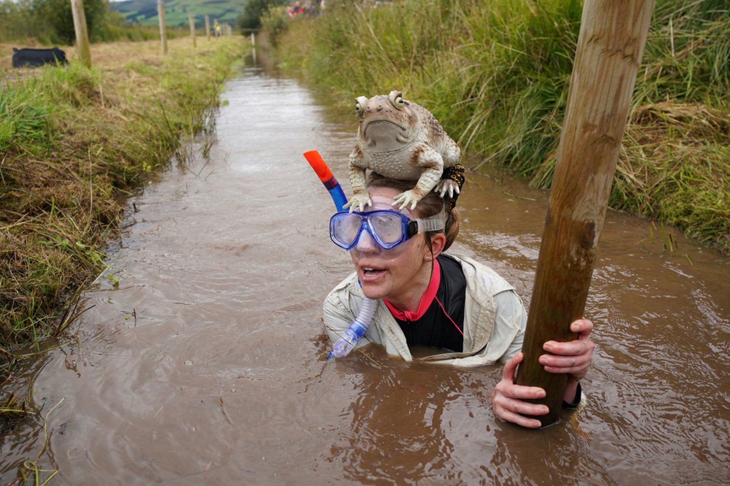 Competitors Battle It Out At Britains Bog Snorkeling Championships ...