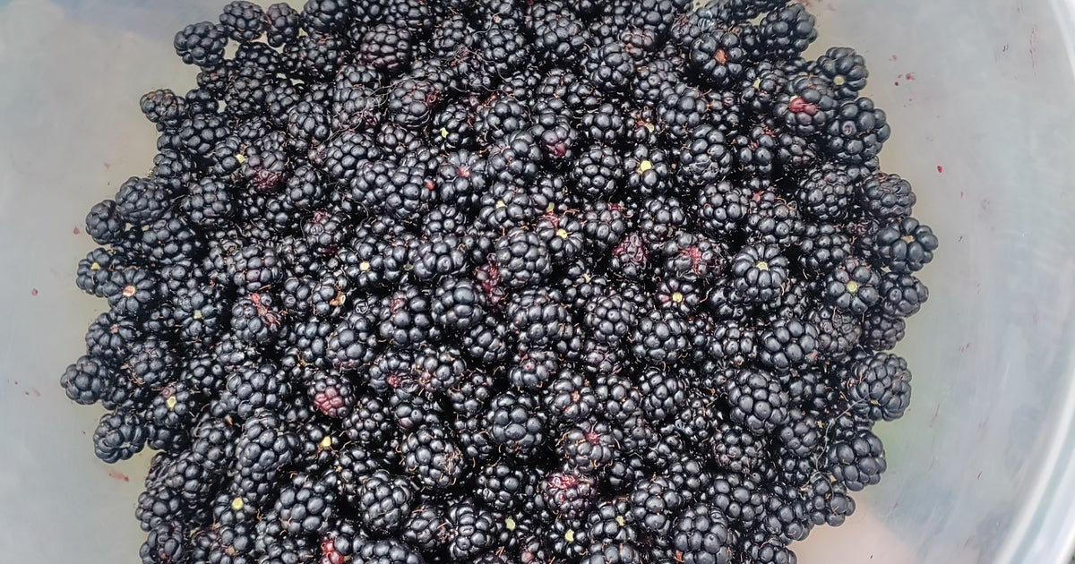 How To Use A Glut Of Blackberries (Besides Making Jam) | HuffPost UK Life