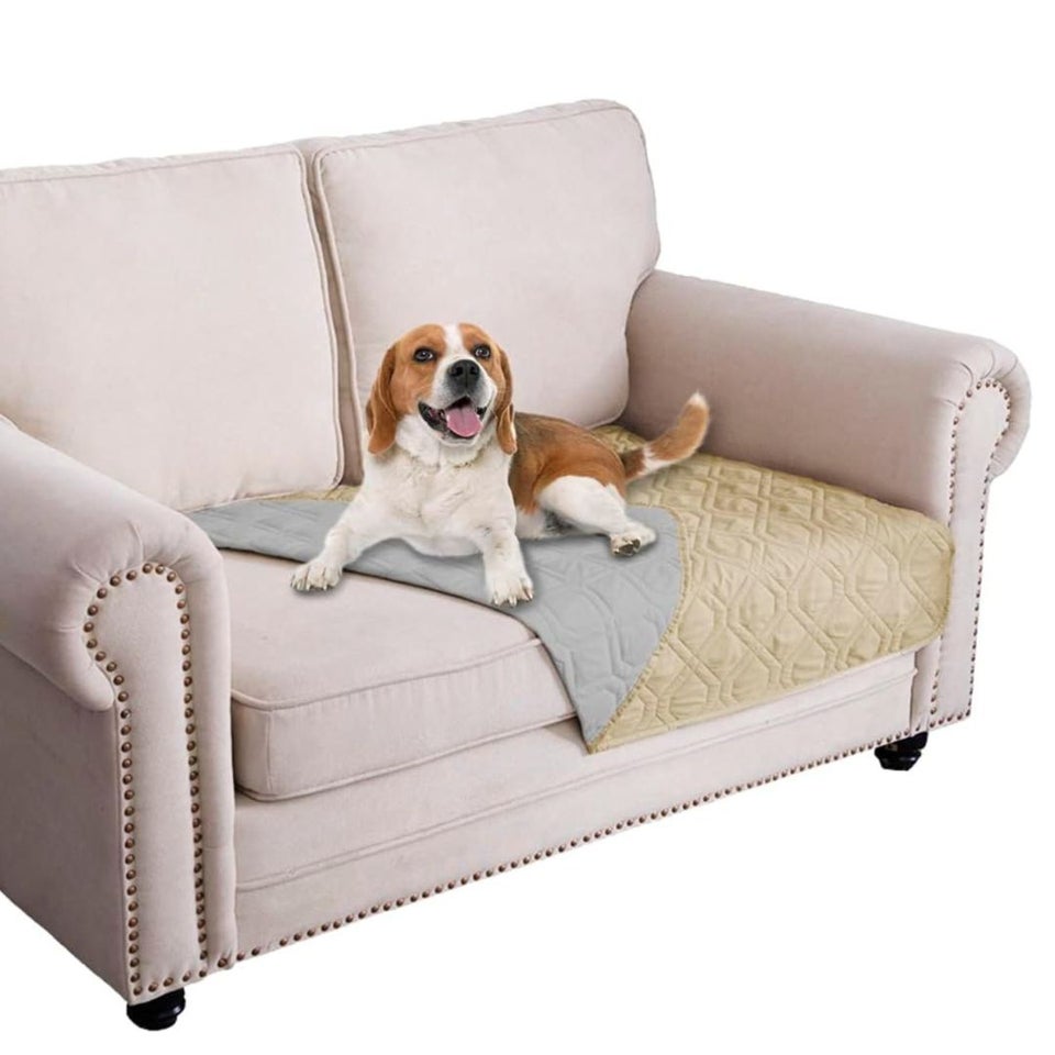 Pet Hair Removers And Solutions On Sale For Prime Day | HuffPost Life