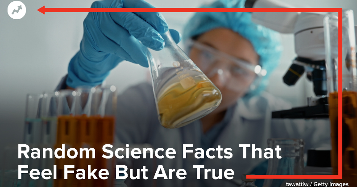 Random Science Facts That Feel Fake But Are True | HuffPost Videos