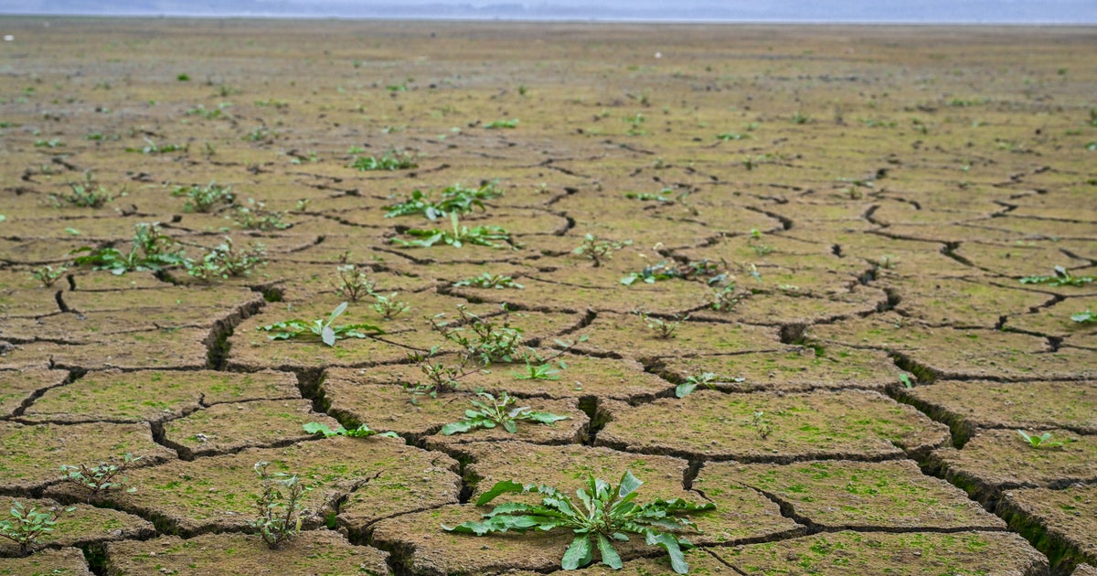 Even Scientists Are Shocked At How Hot October Was | HuffPost UK News